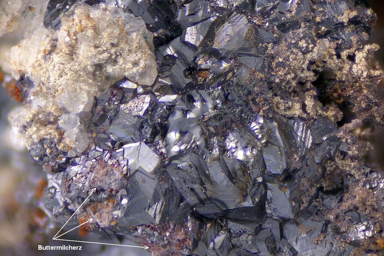 Mineralienatlas - Fossilienatlas