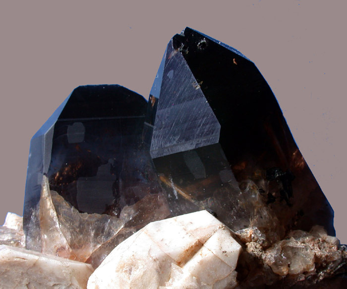 Mineralienatlas Lexikon - Morion