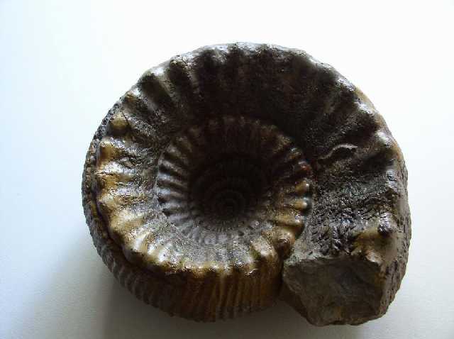 Mineralatlas Lexikon