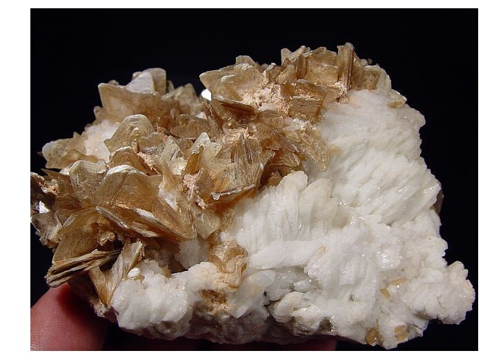 Mineralatlas Lexikon