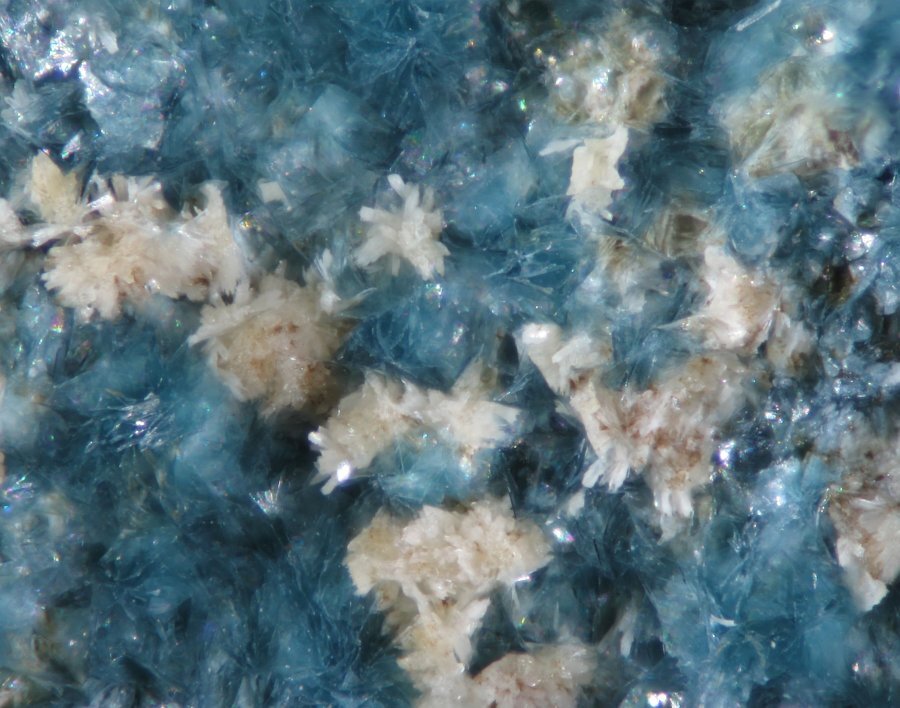 Mineralatlas Lexikon - Sjoegrenite (english Version)