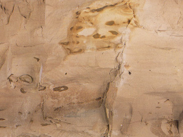 Mineralatlas Lexikon