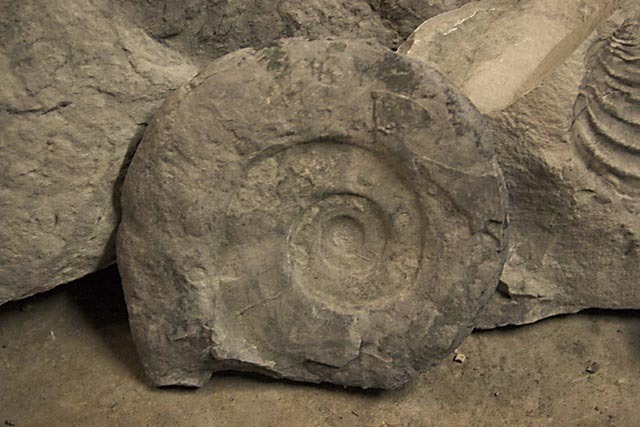 Mineralatlas Lexikon