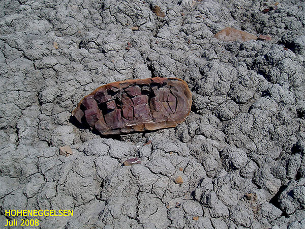 Mineralatlas Lexikon - Toneisenstein