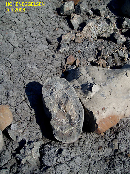 Mineralatlas Lexikon