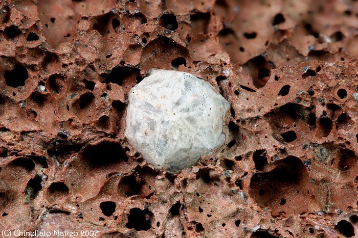 Mineralatlas Lexikon