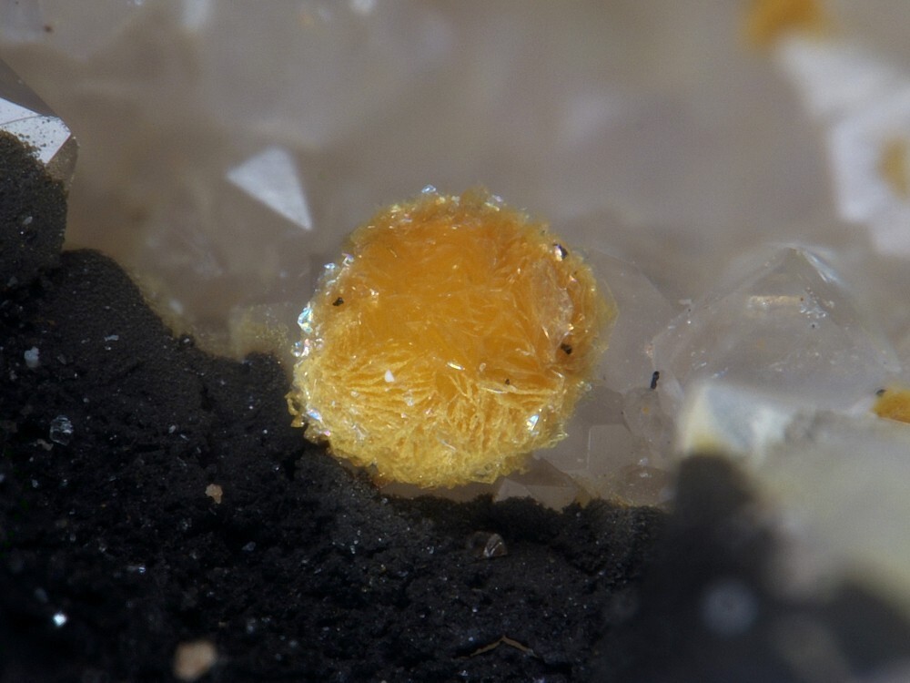 Mineralatlas Lexikon