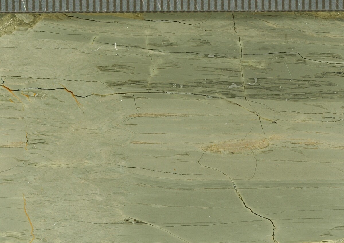 Mineralatlas Lexikon - Ton und Tonstein