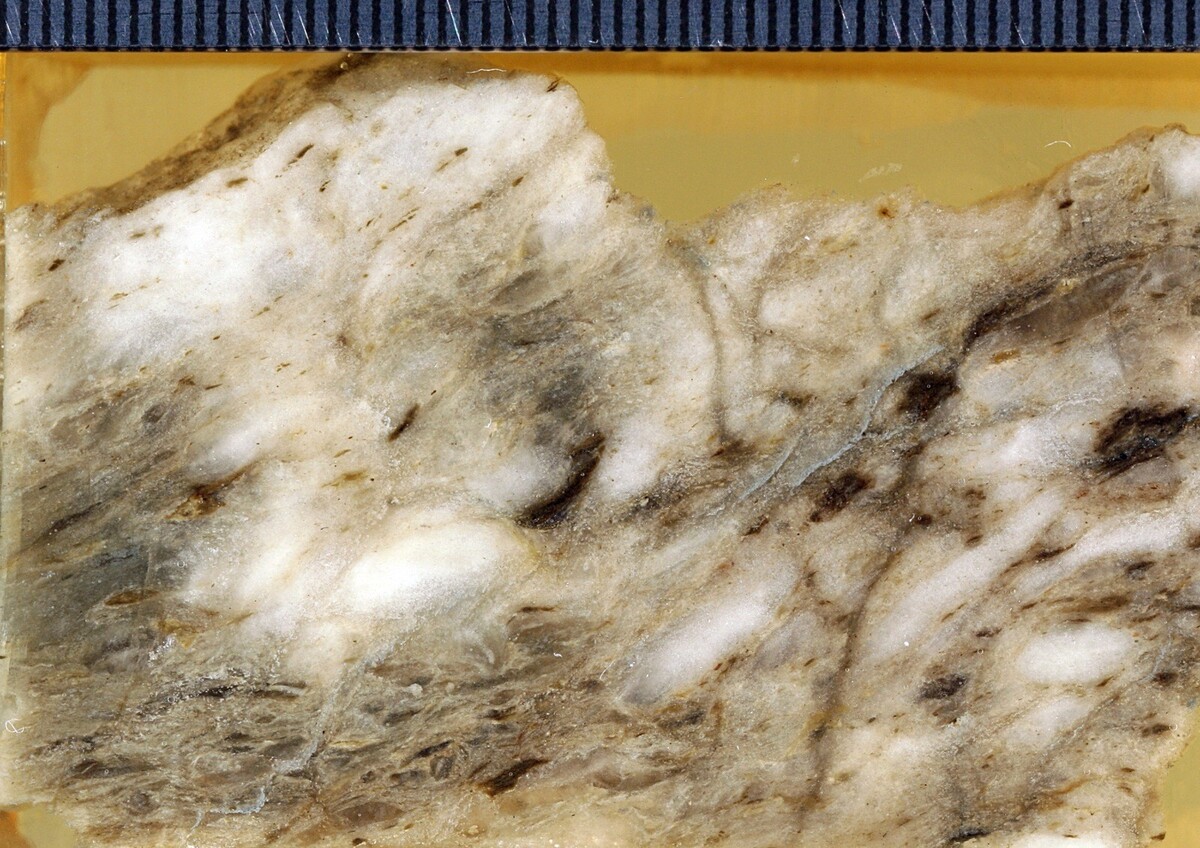 Mineralatlas Lexikon - Mergel