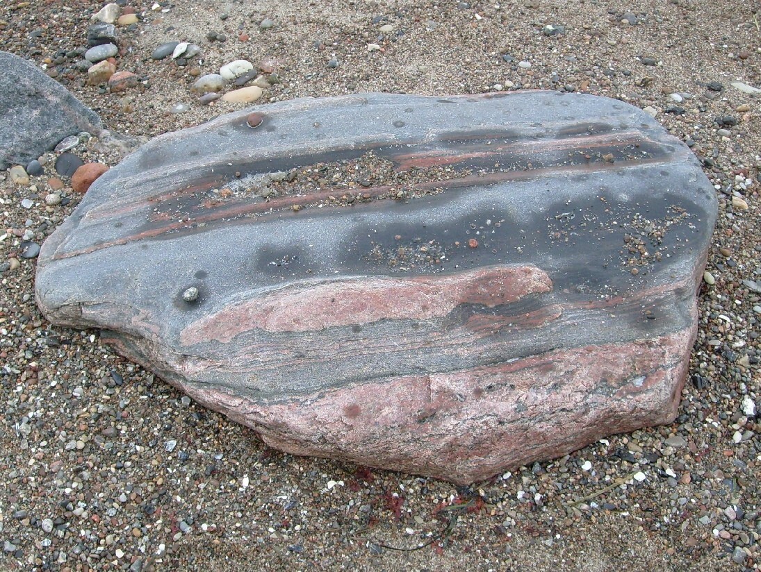 Mineralatlas Lexikon - Migmatit (english Version)