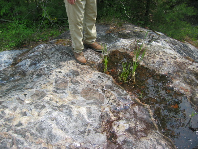 Mineralatlas Lexikon - Nephelinsyenit