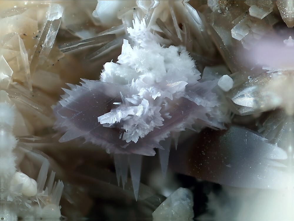 Mineralienatlas Lexikon - Muskovit