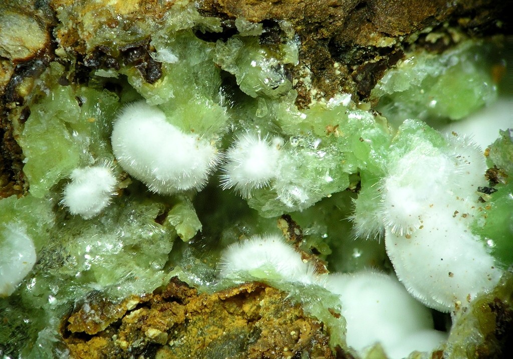 Mineralienatlas Lexikon - Carbonat-Hydroxylapatit
