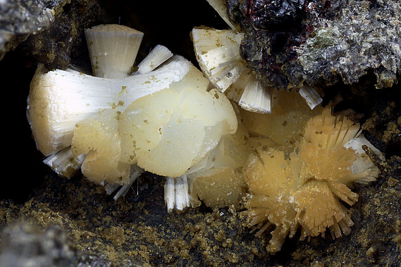 Mineralatlas Lexikon - Erionite-Ca