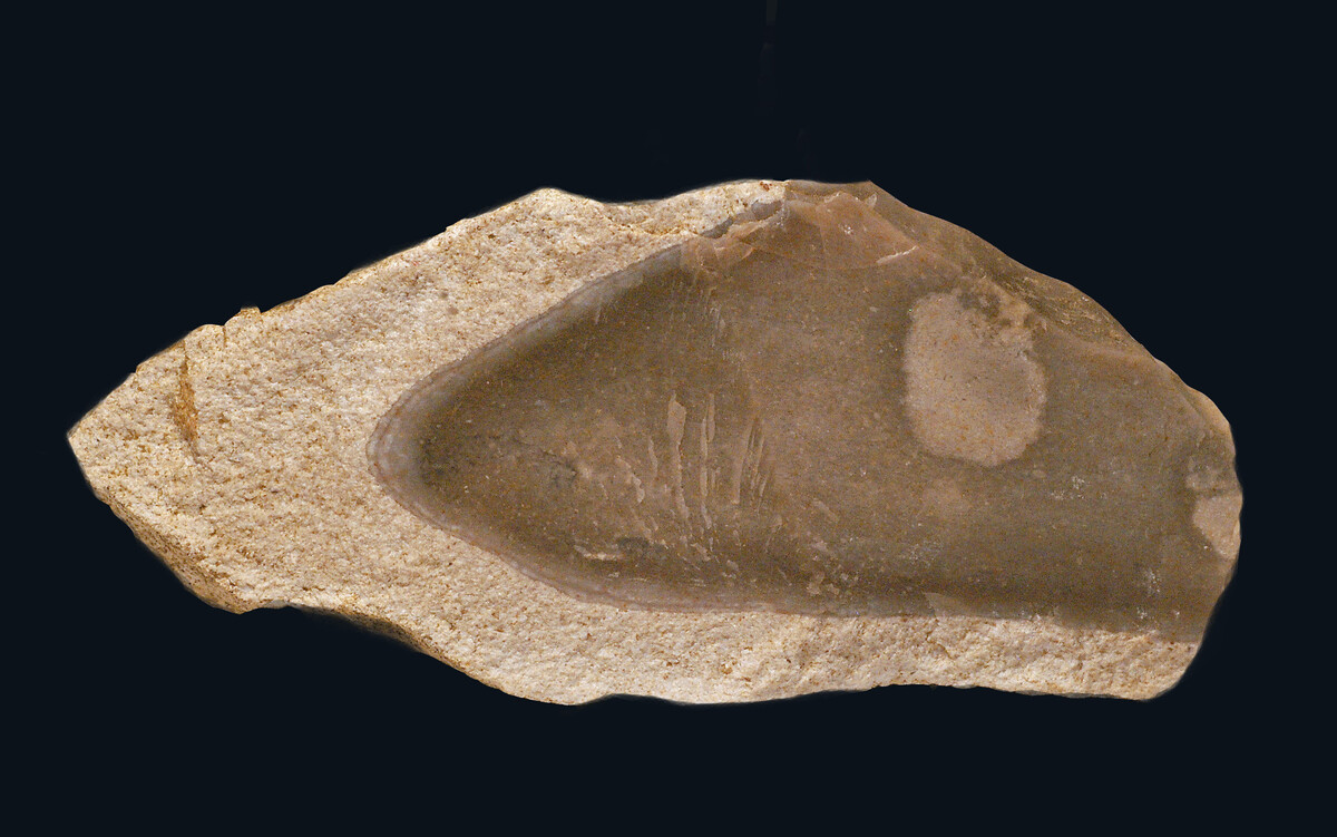 Mineralatlas Lexikon - Hornstein