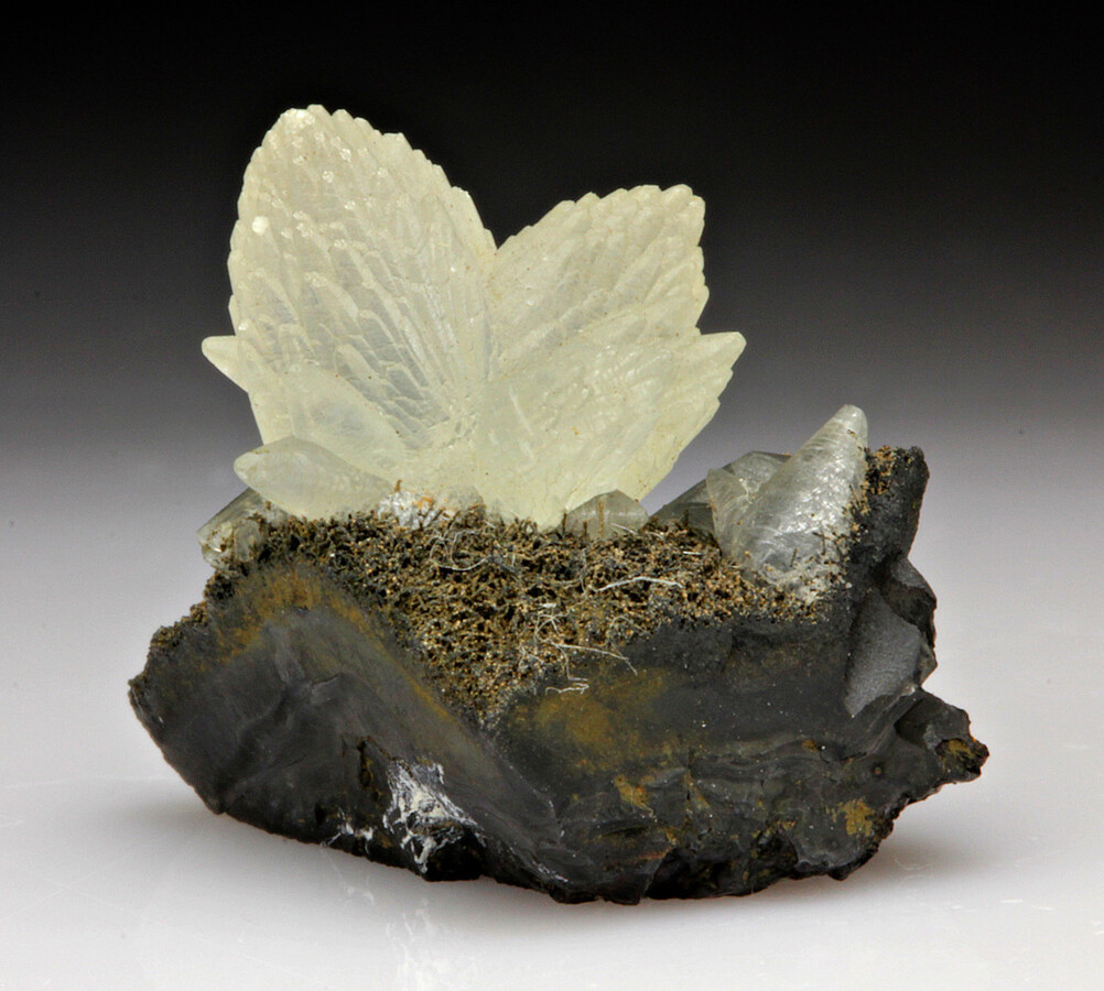 Mineralatlas Lexikon