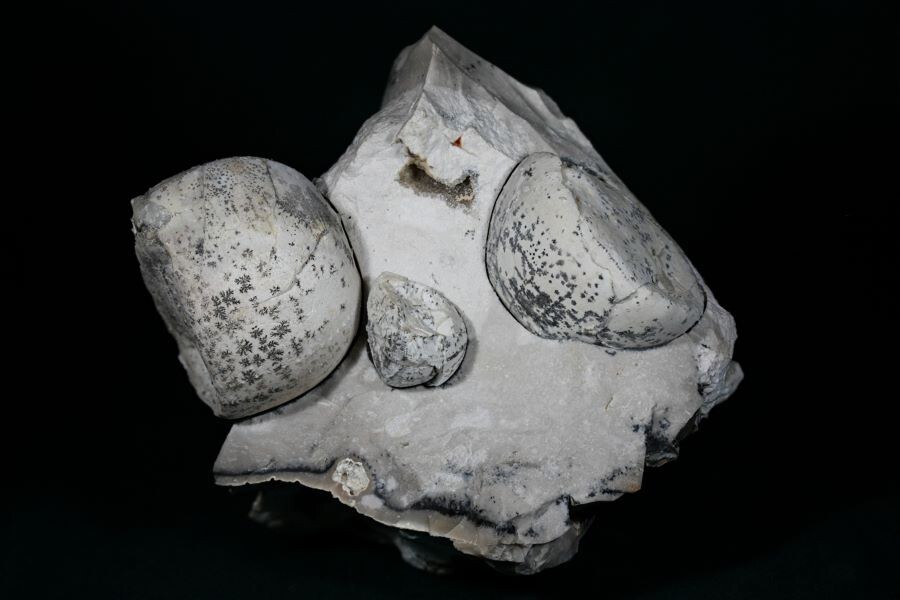 Mineralatlas Lexikon - Conulus