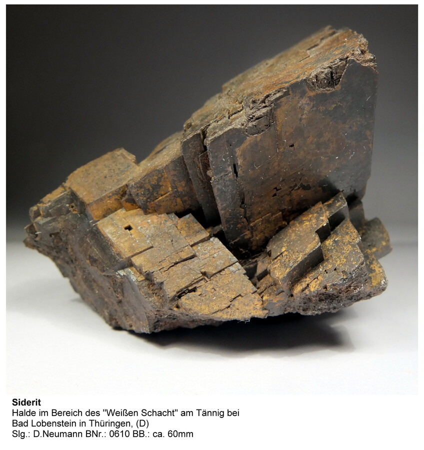 Mineralatlas Lexikon