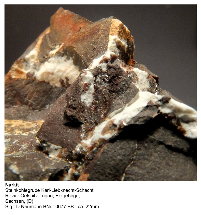 Mineralatlas Lexikon