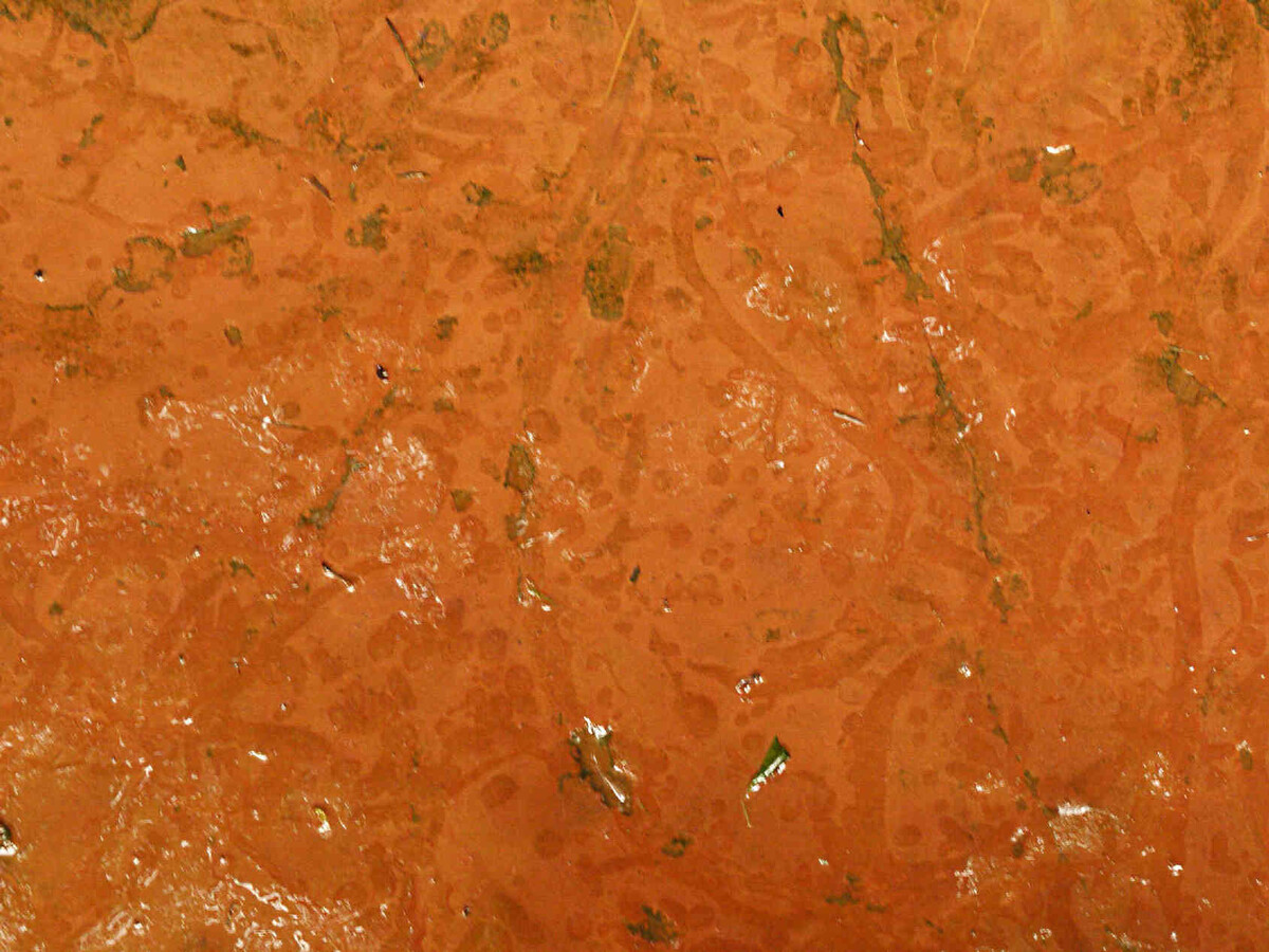 Mineralatlas Lexikon