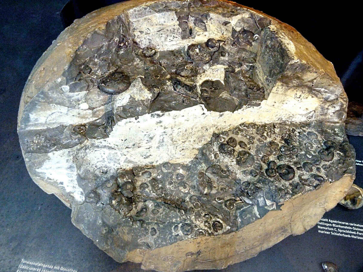 Mineralatlas Lexikon