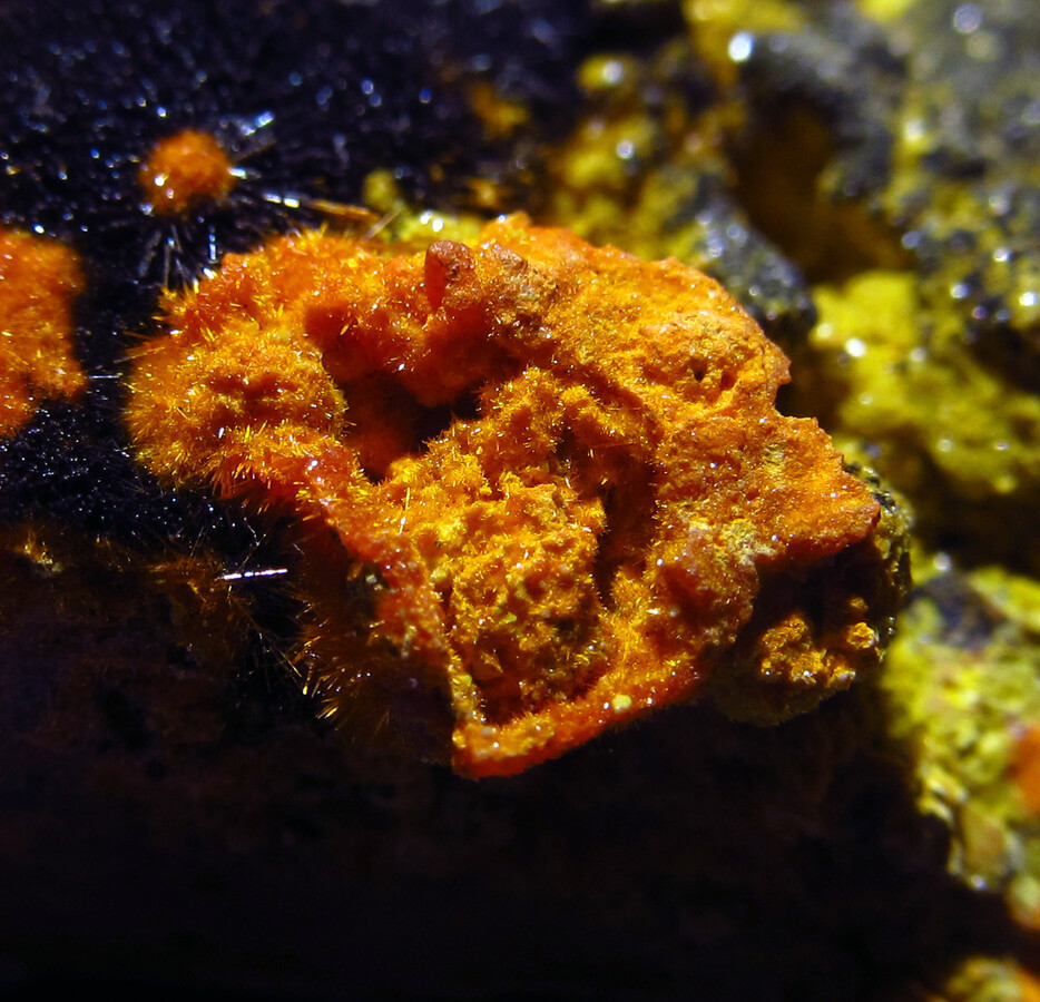 Mineralienatlas Lexikon - Curit (english Version)