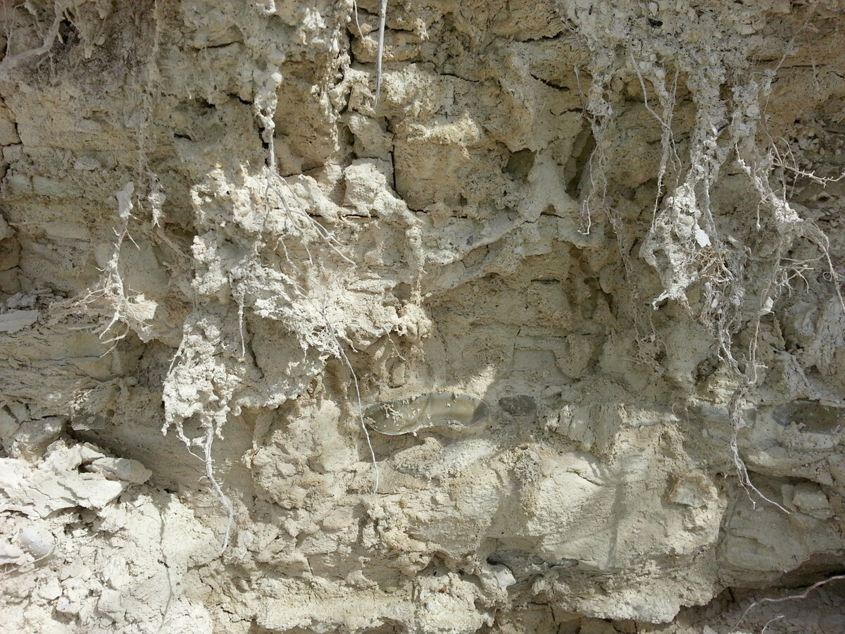 Mineralatlas Lexikon - Diatomit