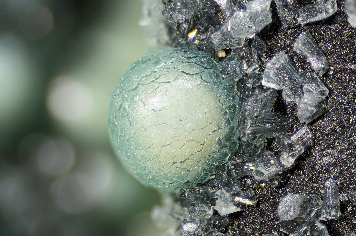 Mineralatlas Lexikon - Variscit