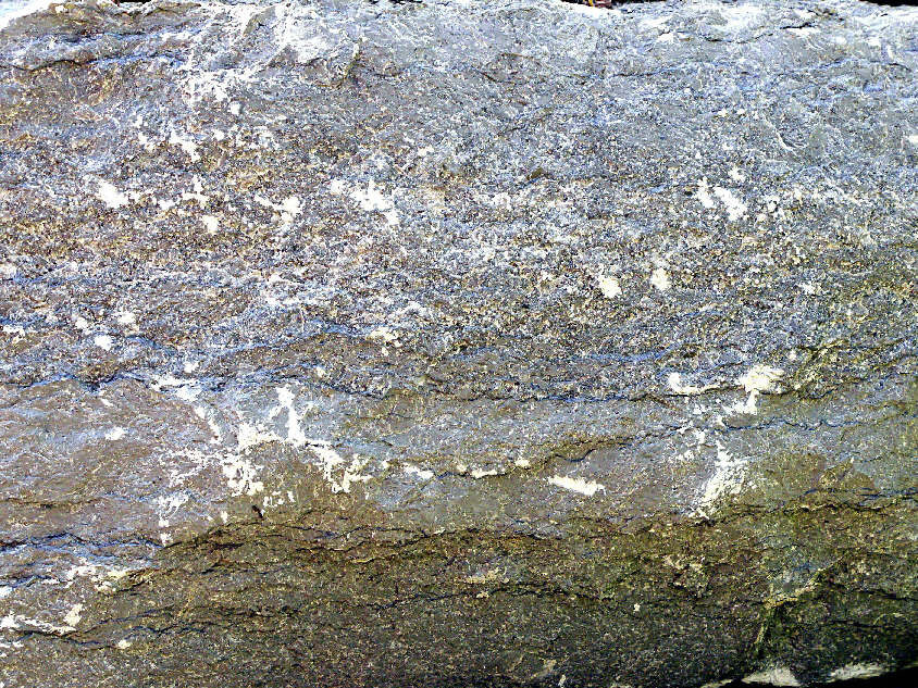 Mineralienatlas Lexikon - Plattenkalk (english Version)