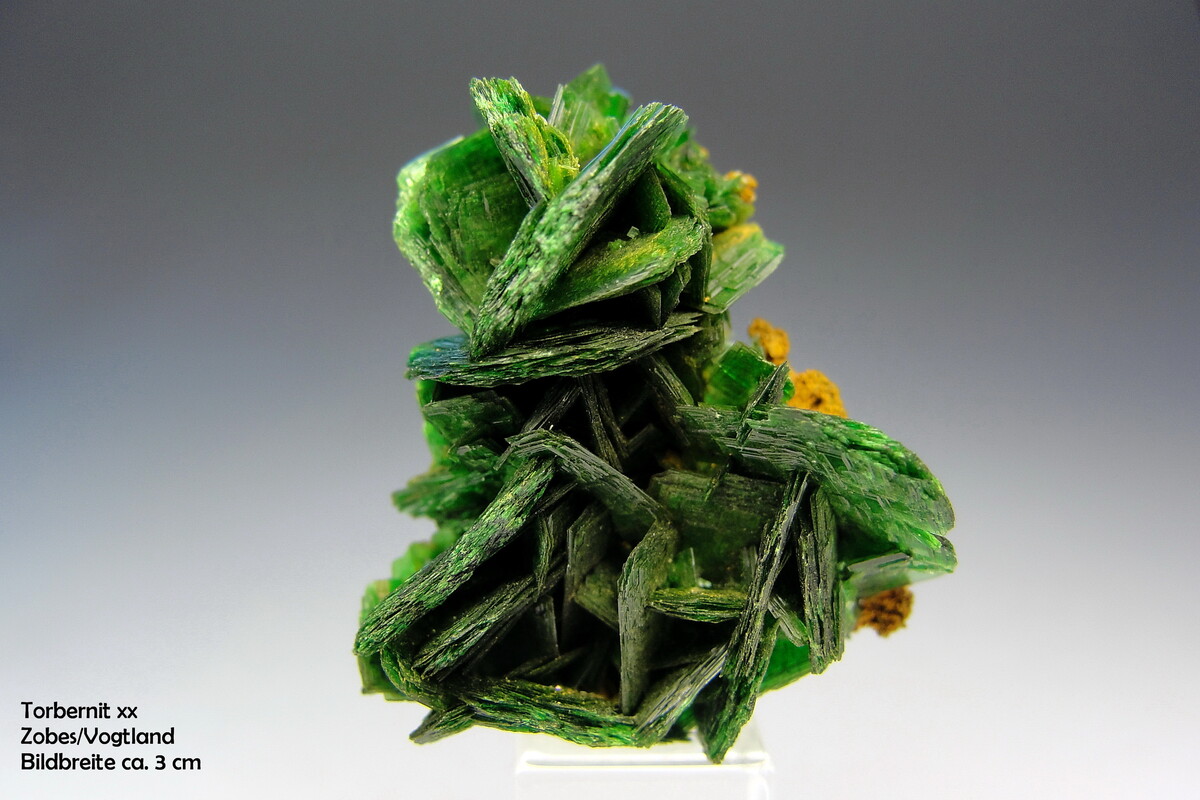 Mineralatlas Lexikon