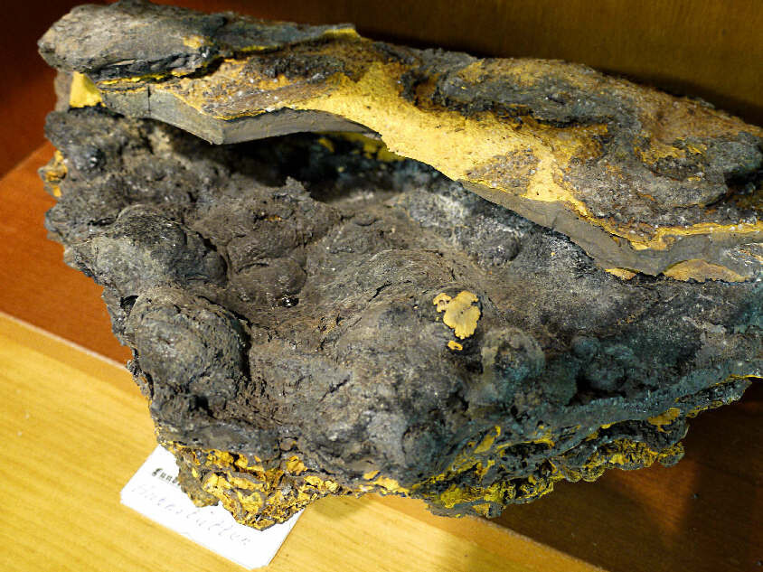 Mineralatlas Lexikon