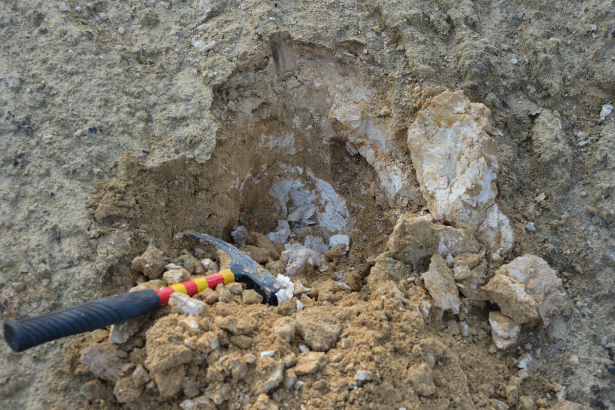 Mineralatlas Lexikon - Diatomit