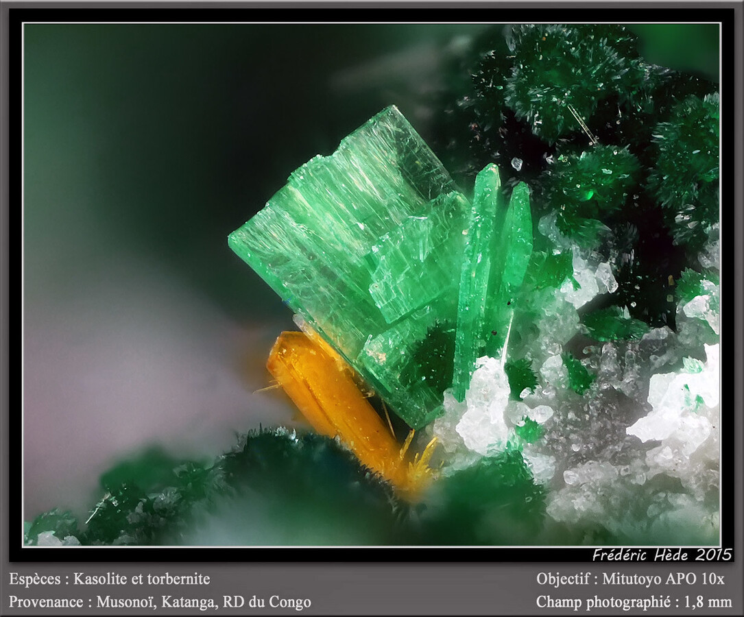 Mineralatlas Lexikon