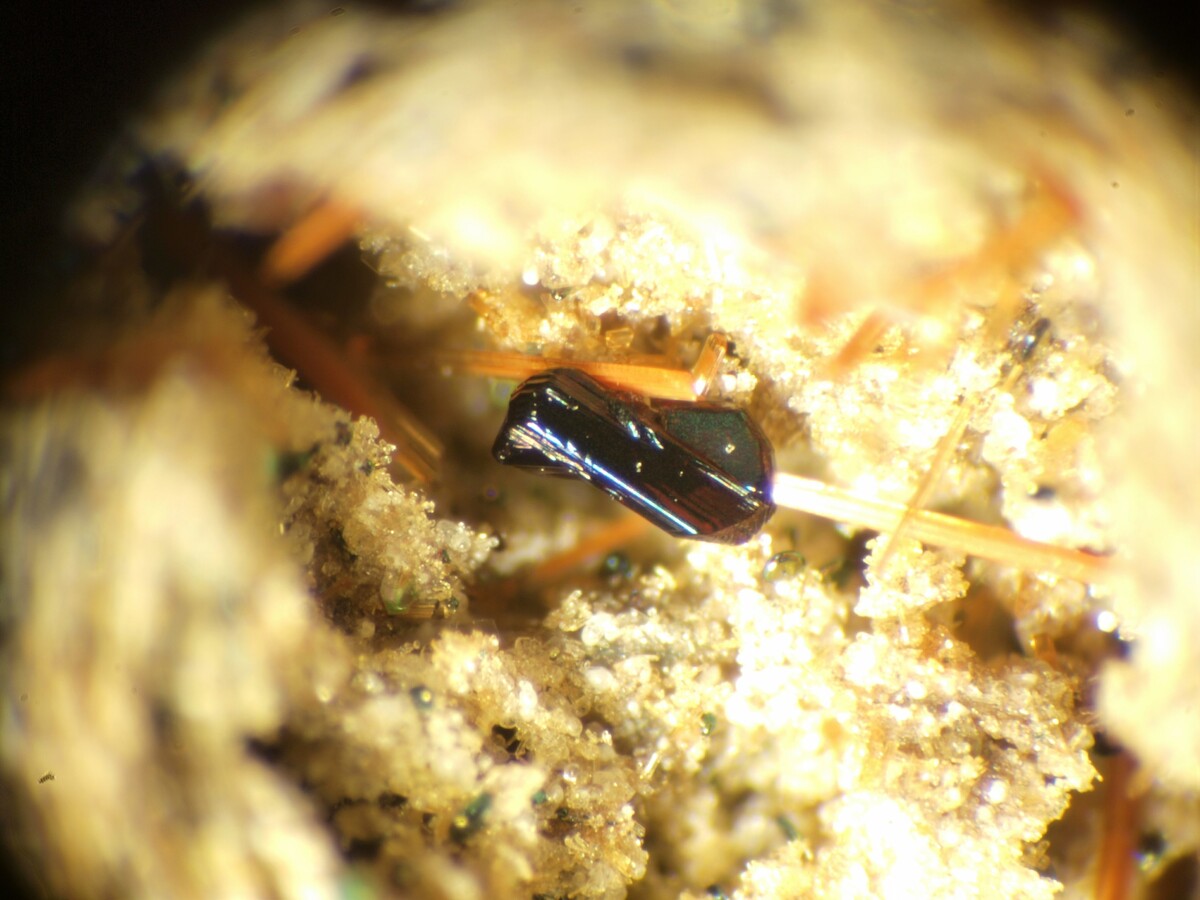 Mineralatlas Lexikon - Dorrite