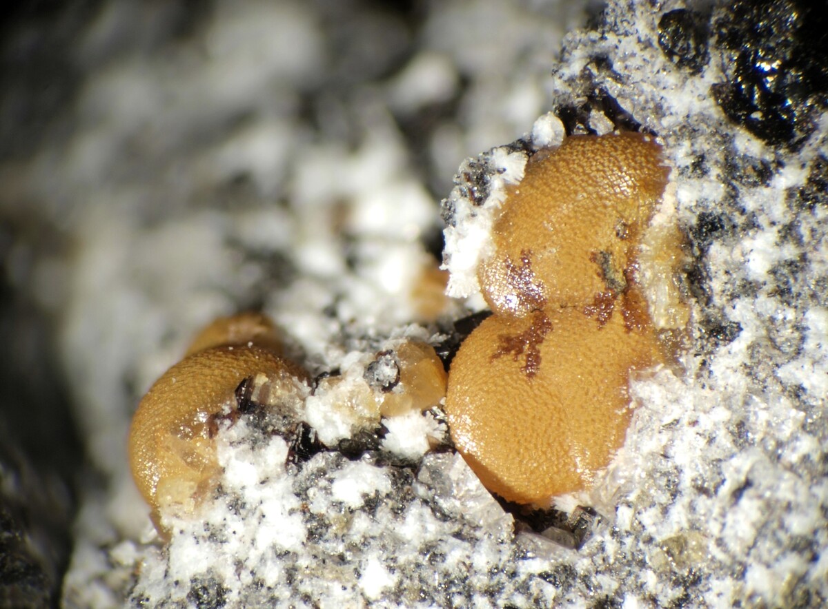 Mineralatlas Lexikon