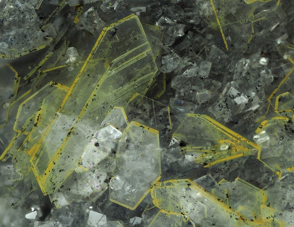 Mineralienatlas Lexikon - Muskowit