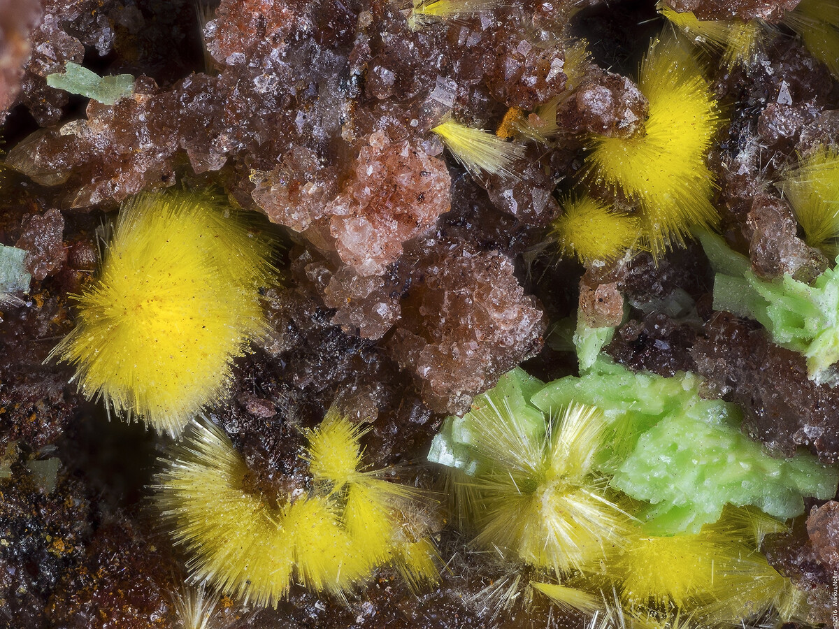 Mineralatlas Lexikon - Torbernit