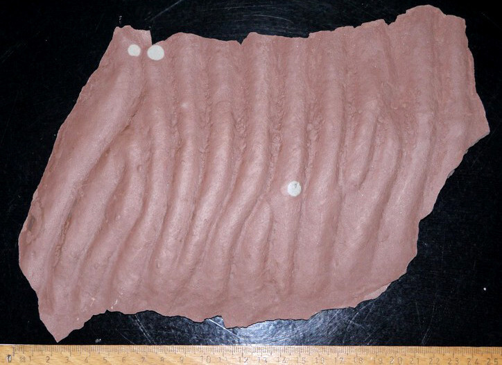 Mineralatlas Lexikon - Schluff