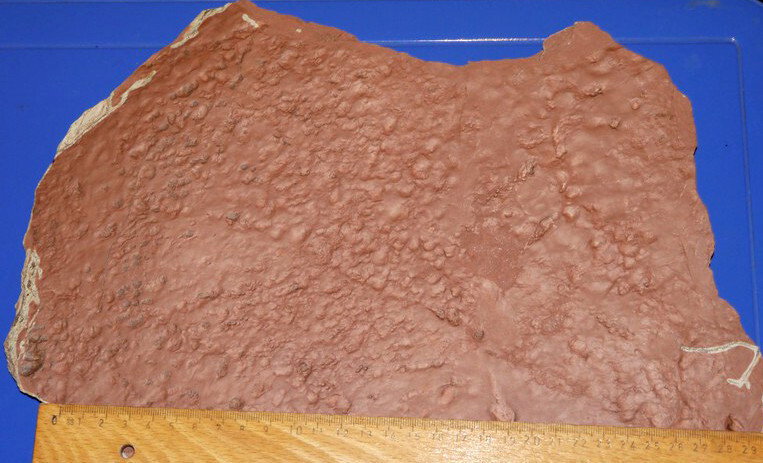 Mineralatlas Lexikon - Schluff