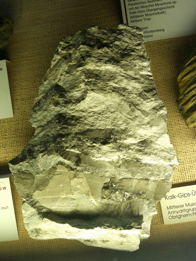 Mineralatlas Lexikon