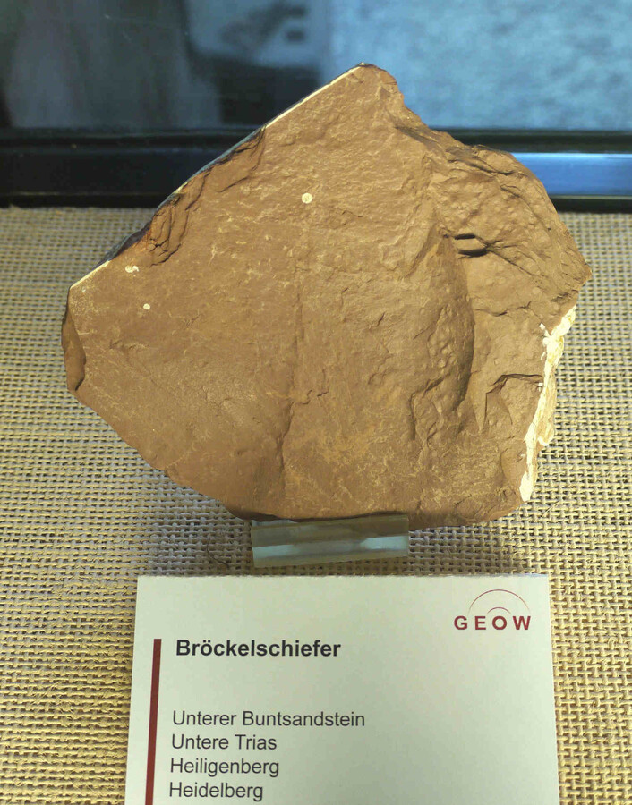 Mineralatlas Lexikon - Tonstein