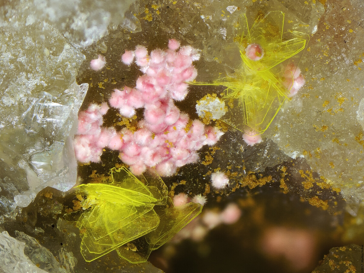 Mineralatlas Lexikon - Heinrichite