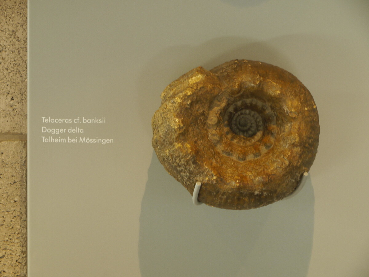 Mineralatlas Lexikon