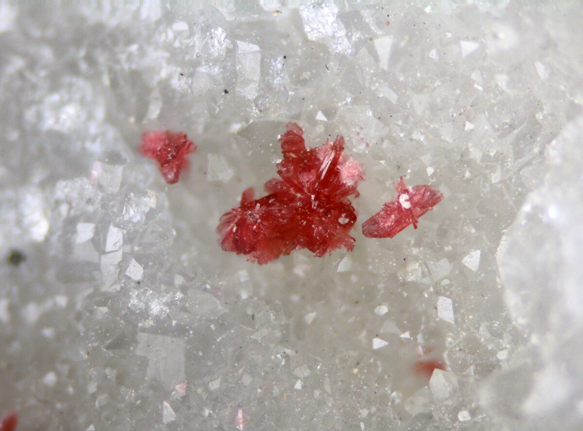 Mineralatlas Lexikon