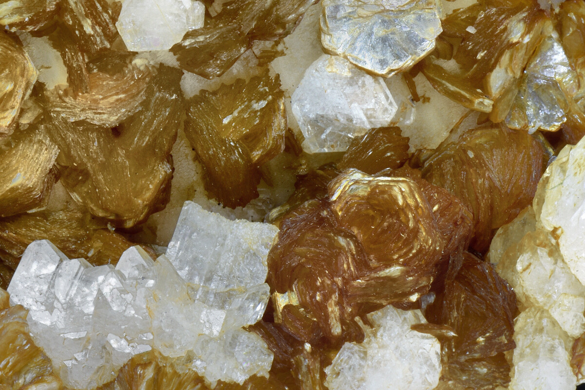 Mineralatlas Lexikon - Gilbertite (english Version)