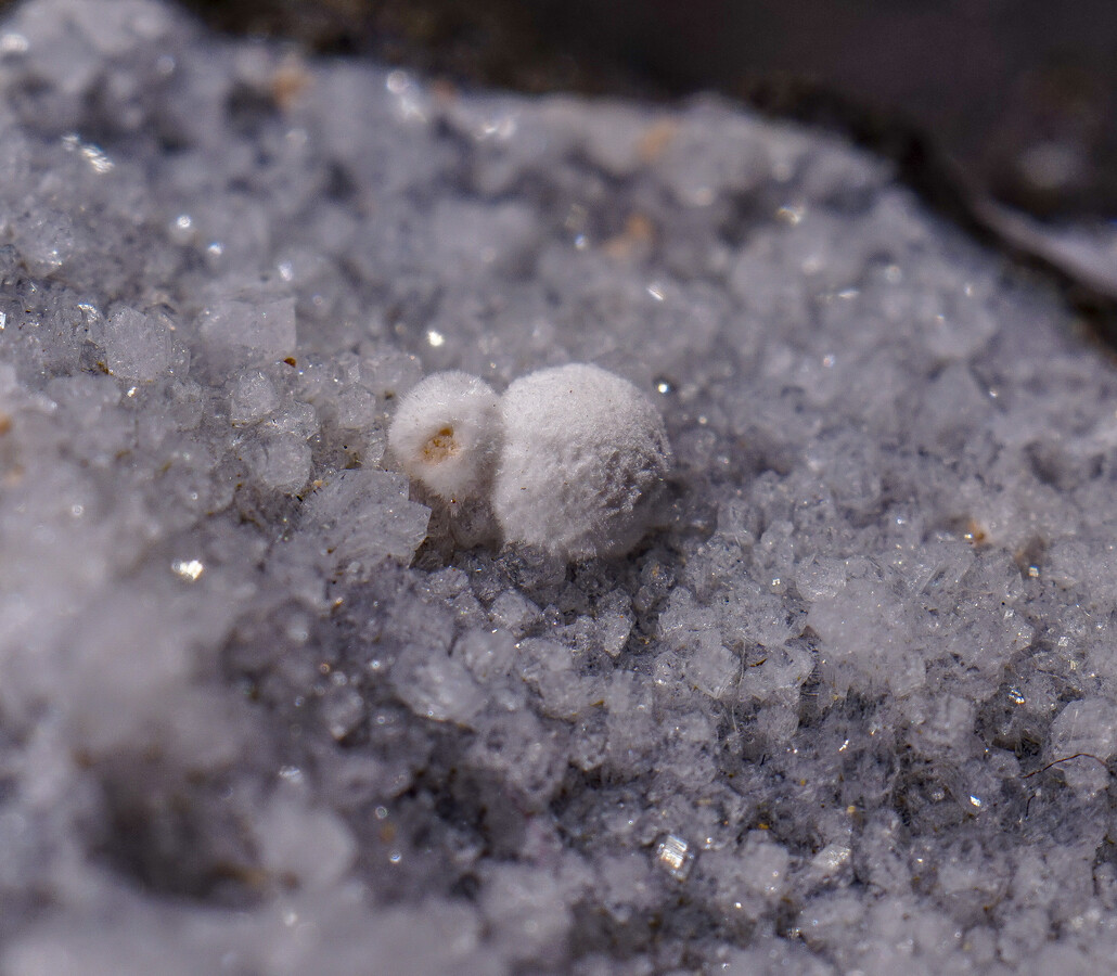 Mineralatlas Lexikon - Tacharanit (english Version)