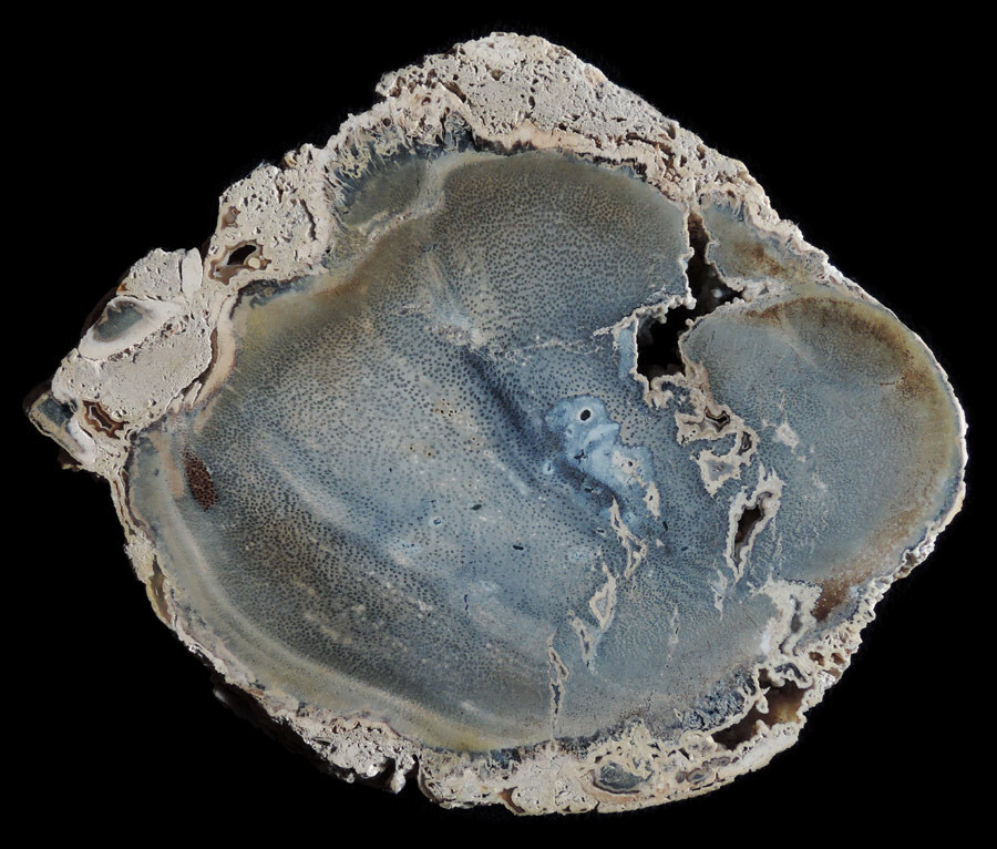 Mineralatlas Lexikon