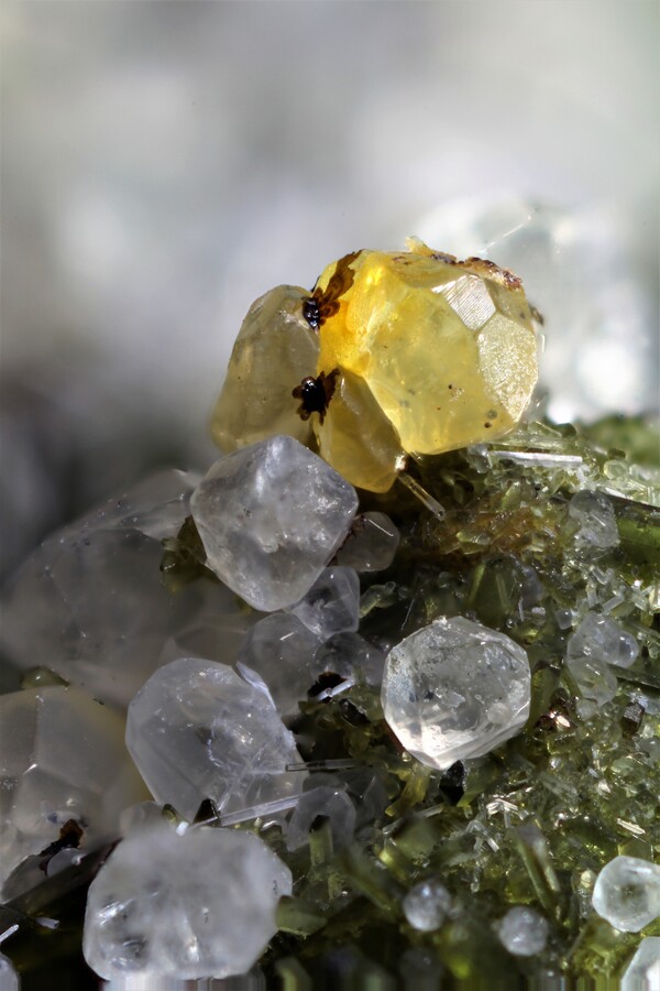 Mineralatlas Lexikon