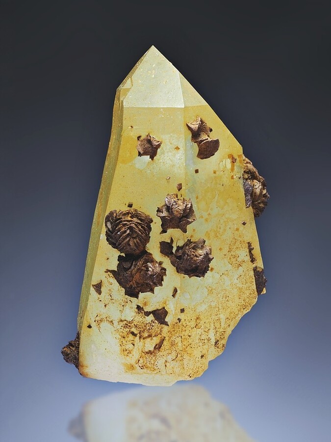 Mineralienatlas Lexikon - Media Data Show