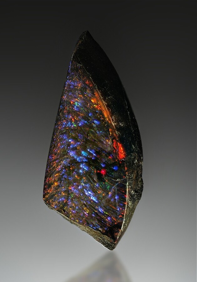 Mineralienatlas Lexikon - Media Data Show